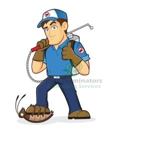 Home – Pest Terminators & Cleaning Services